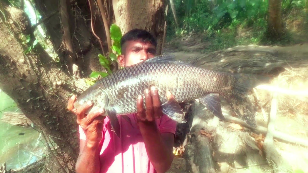 Wow !!! Hook Fishing Catching Big Fish !!! River Fishing In Sri Lanka ...