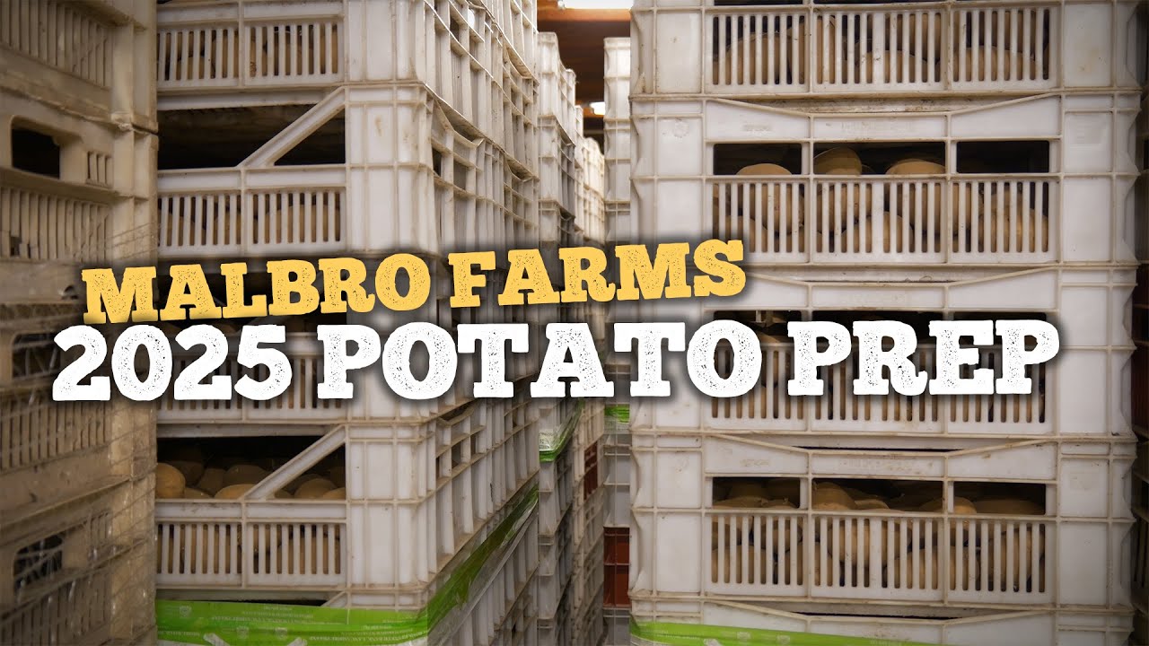 2025 POTATO PREP | MALBRO FARMS #6 - YouTube