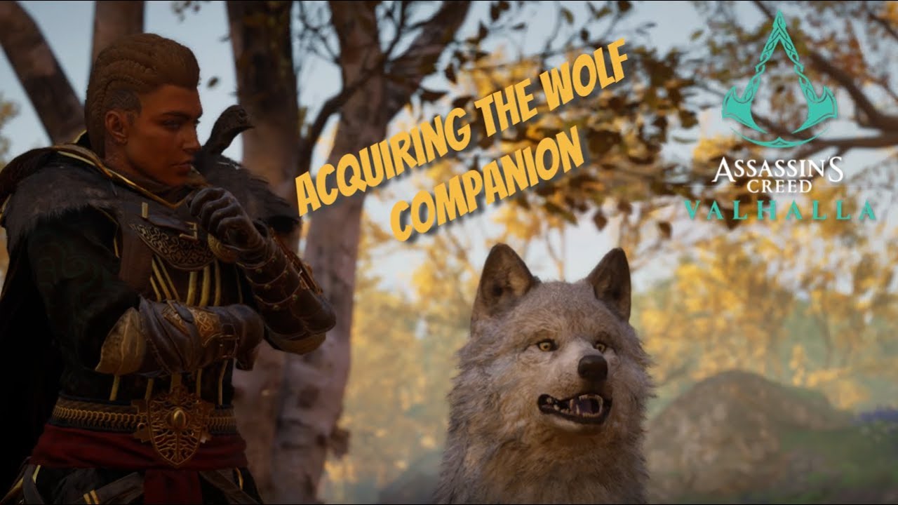 How To Get A Wolf Companion ! Assassin's Creed Valhalla Secret ...