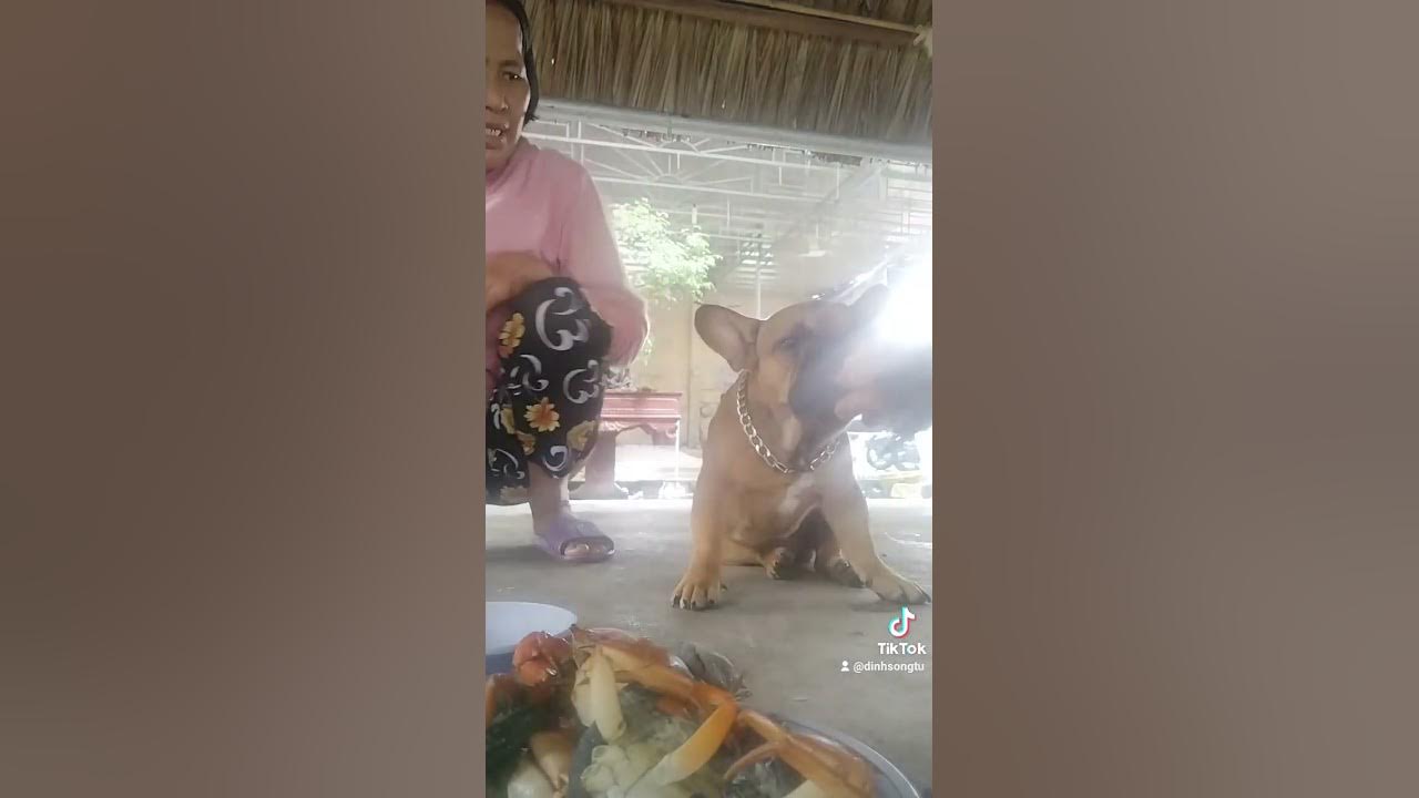 4 tháng 9, 2023(2) - YouTube