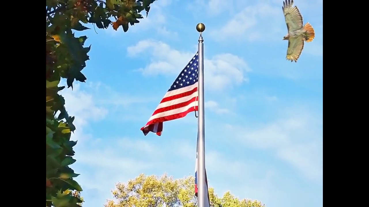 Virtual Ferncliff Experience Fall 2020 - YouTube