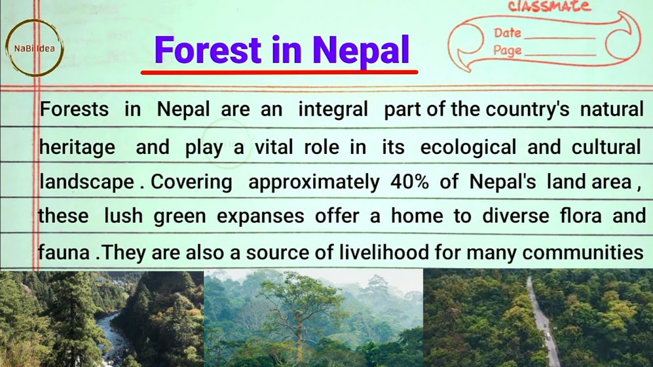 Forest in Nepal essay in English || Forest in nepal || forest of nepal essay || essay on forest ...