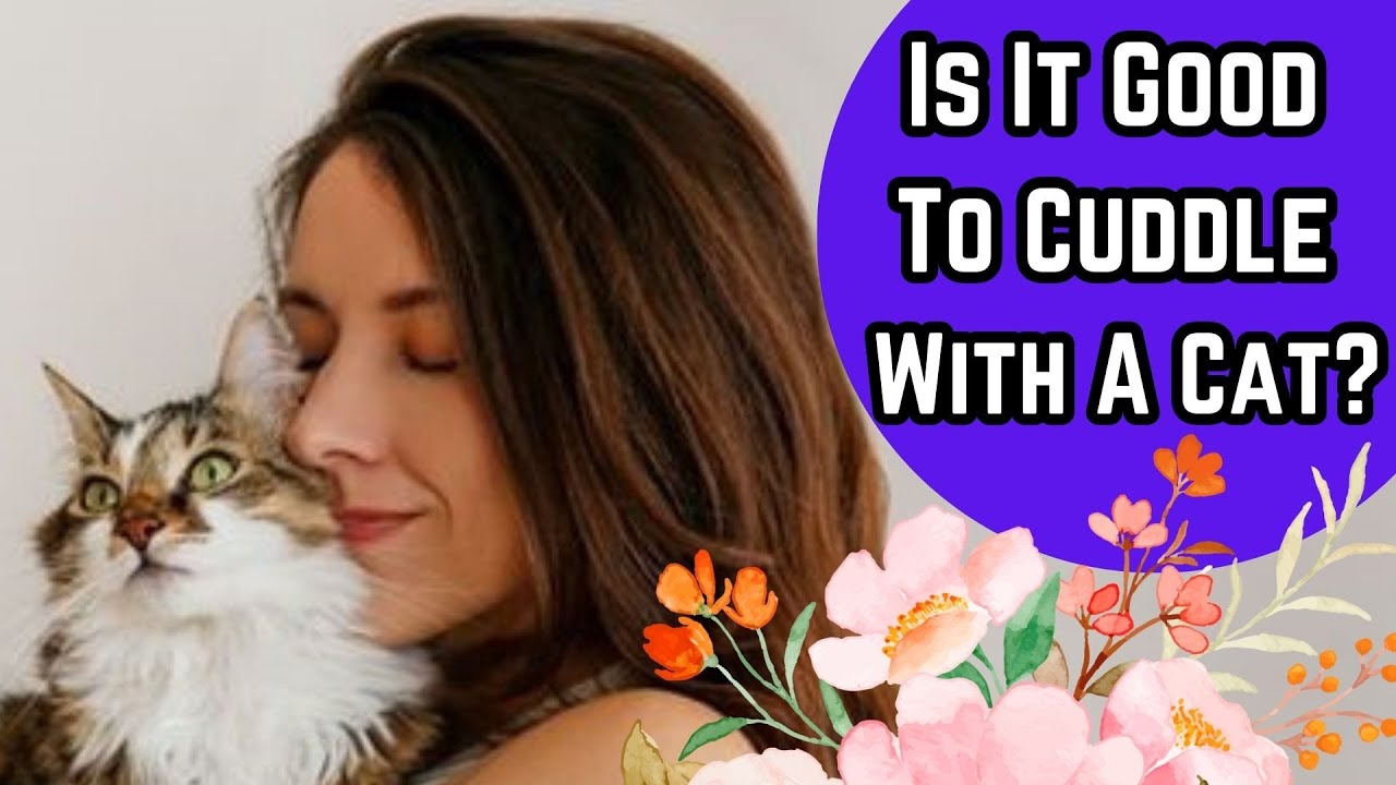 7 Benefits Of Cuddling With Cats - YouTube