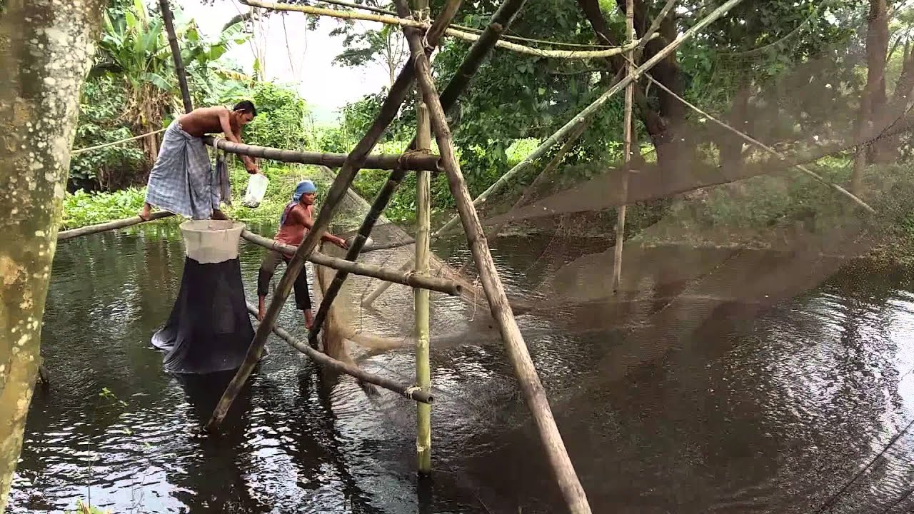 Beautiful Bangladesh Catch Fish "River Fishing Tips "|| দেখুন কি ভাবে ...