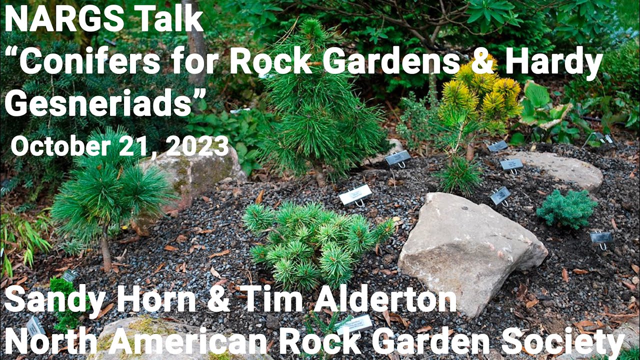 NARGS Talk - Sandy Horn - "Conifers for Rock Gardens" - YouTube
