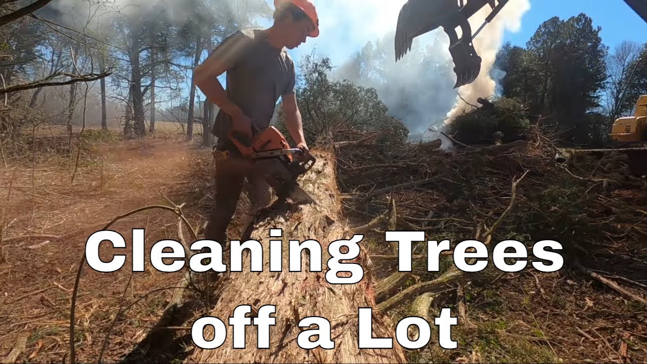 Cleaning Trees off a Lot - YouTube