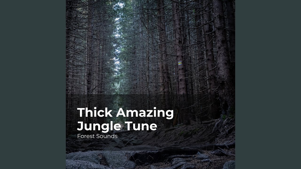 Tangled Wilderness - YouTube