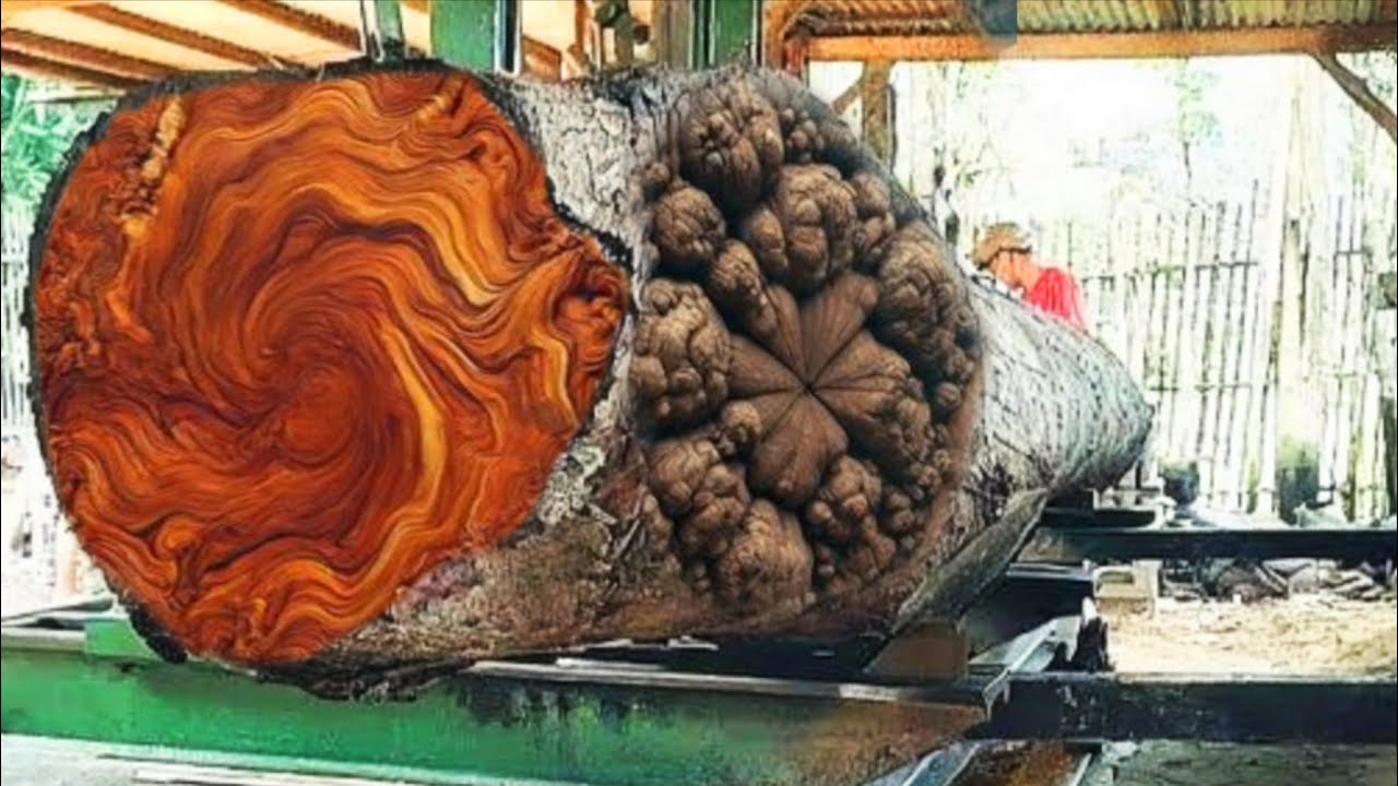 The emergence of this wood phenomenon will be the beginning of a ...