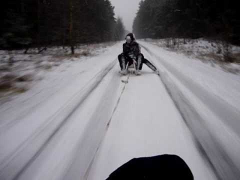 mitm Schlitten hinterm Auto ab durchn Wald - YouTube