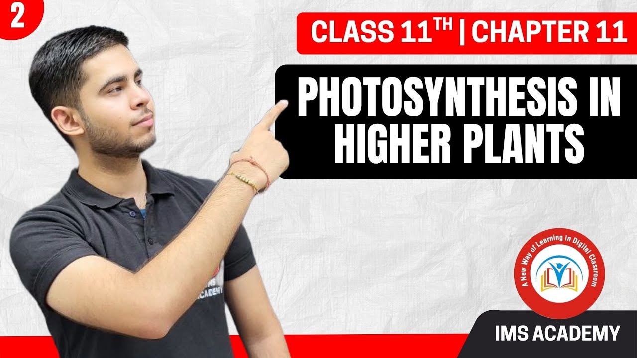 BIOLOGY CLASS 11TH CHAPTER 11 | PHOTOSYNTHESIS IN HIGHER PLANTS ...