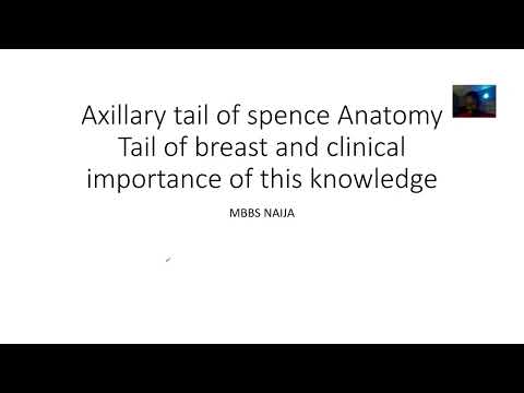 Axillary tail of spence Anatomy (Tail of breast and clinical importance ...