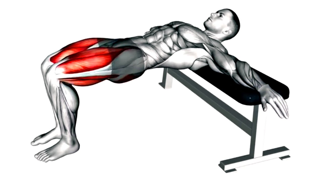 Abs and Legs Workout at Home (No Equipment) Easy - YouTube