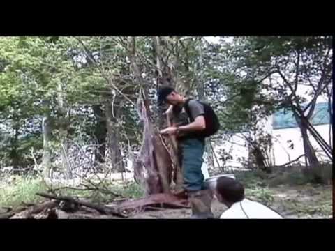 Rare look inside the Clay Waller case the evidence the police found ...