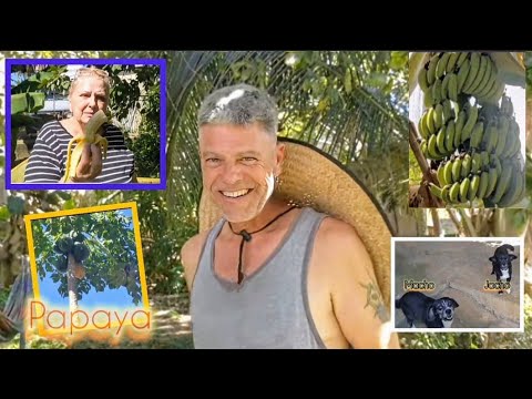 OUR VACATION TO PUERTO RICO. "Jason's Small Farm" - Video #5 - YouTube
