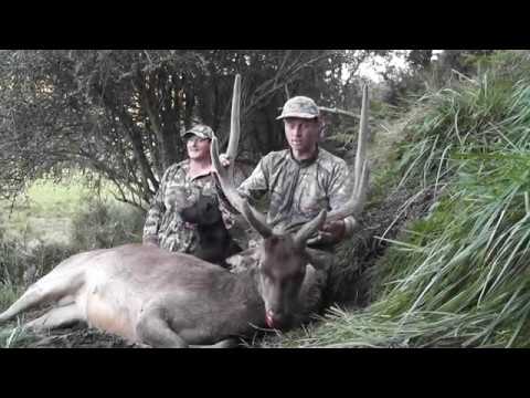 Monster Rusa stag - YouTube