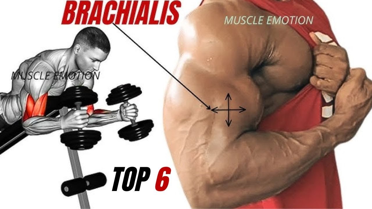 TOP 6 brachialis exercises with dumbbels barbell and cable cable only ...