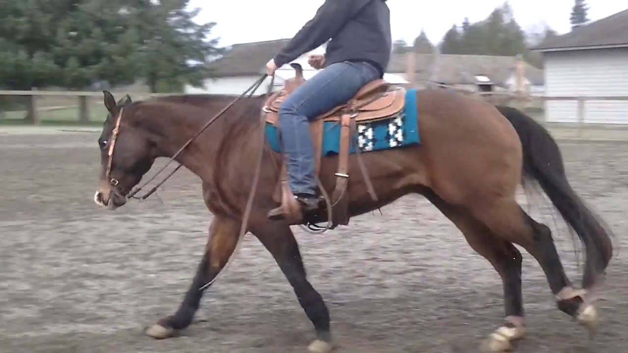 Lectric lil Gun - YouTube