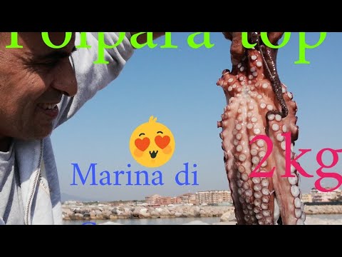come creare la polpara fai da te#octopus #pulp #pulpa@pesca al polpo ...
