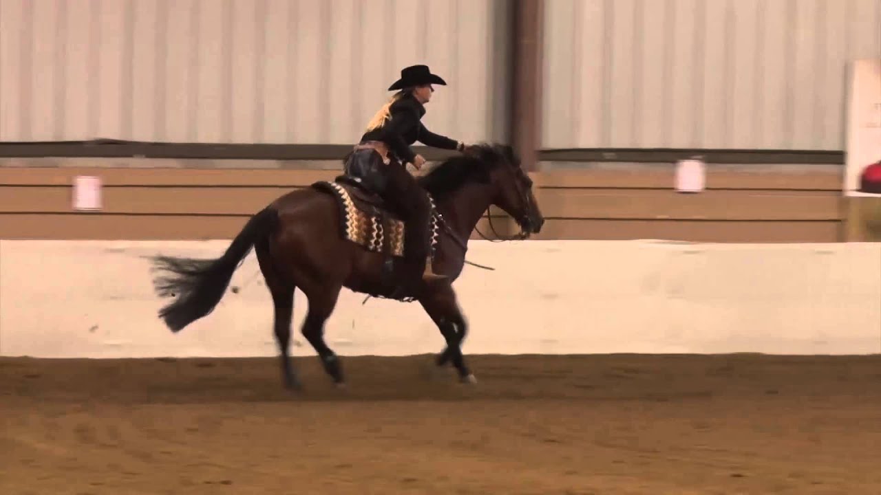 160225 Alicia Rapp on Kelvins Spark NHNP - YouTube