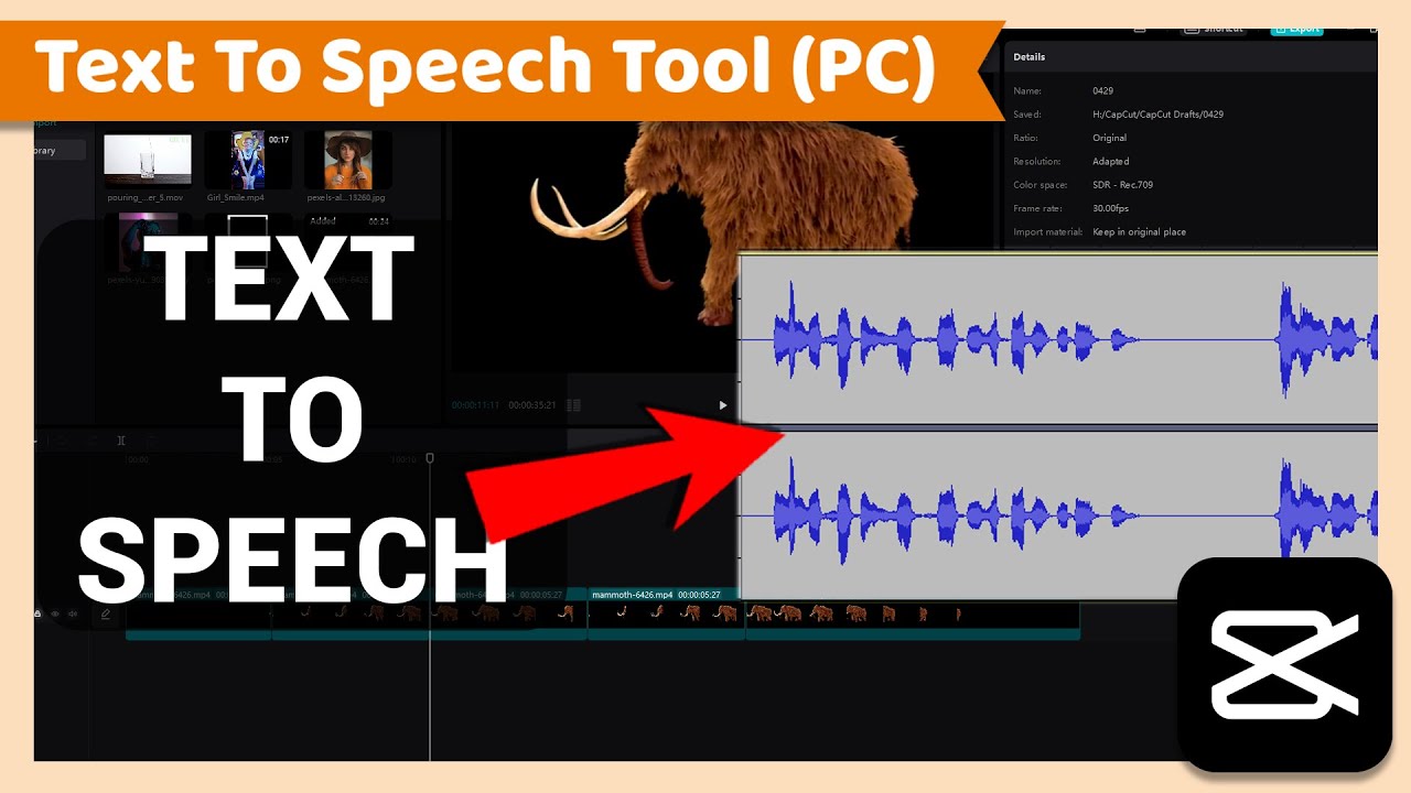 Text to Speech Tool | CapCut Tutorial (PC) - YouTube