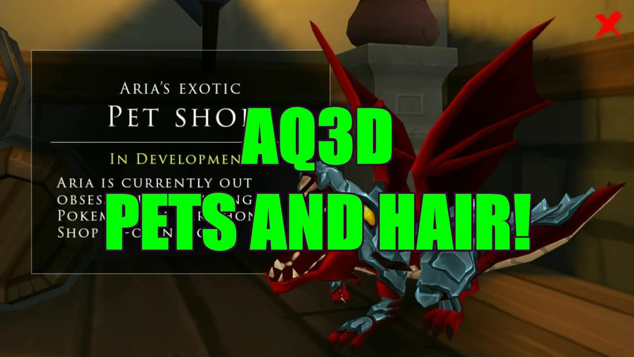 AQ3D PETS And Hair! AdventureQuest 3D - YouTube