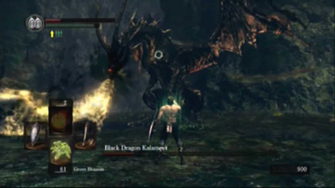 Black Dragon Kalameet - SL1 Dark Souls - YouTube
