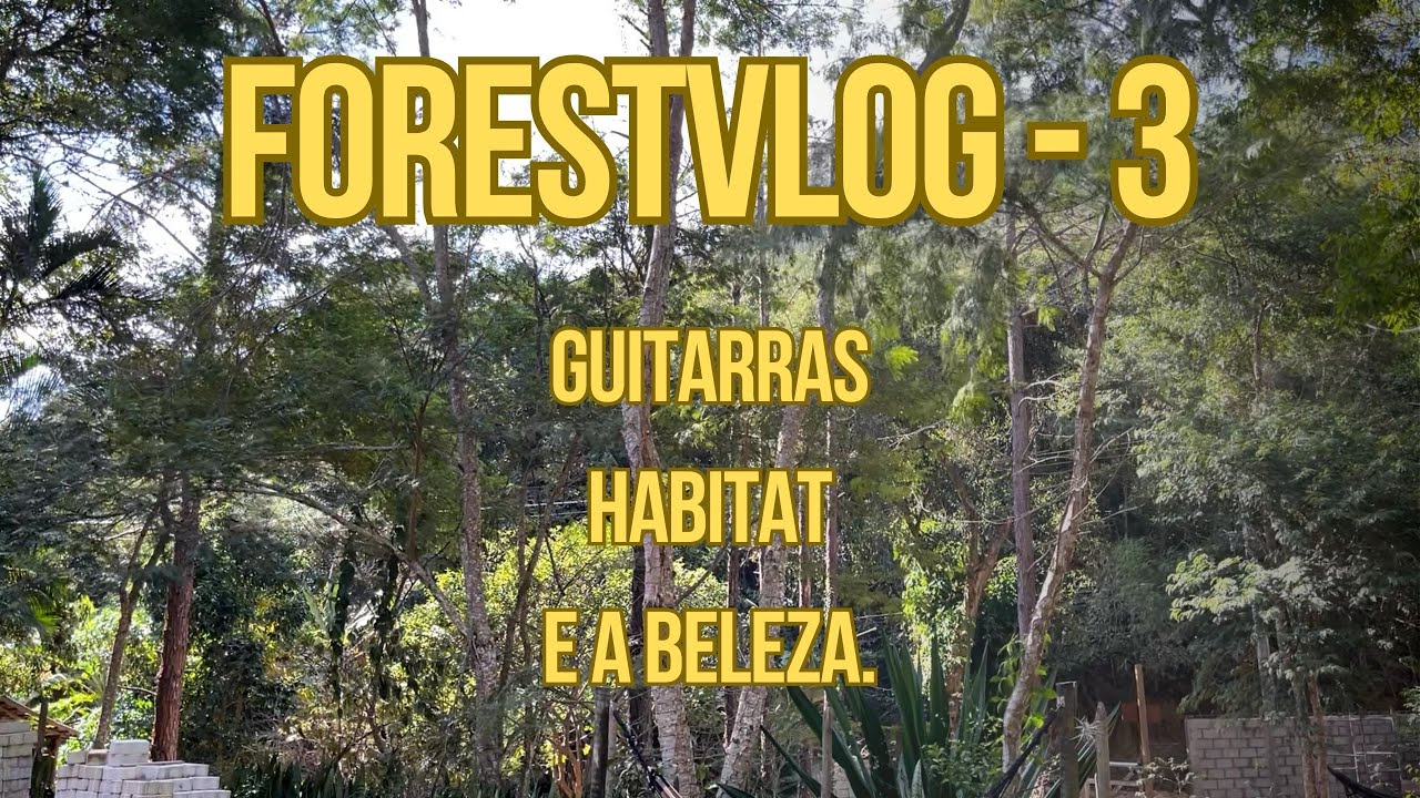 Gravando no ForestLab EP3 @LiscielFranco e @erickcastanho - YouTube