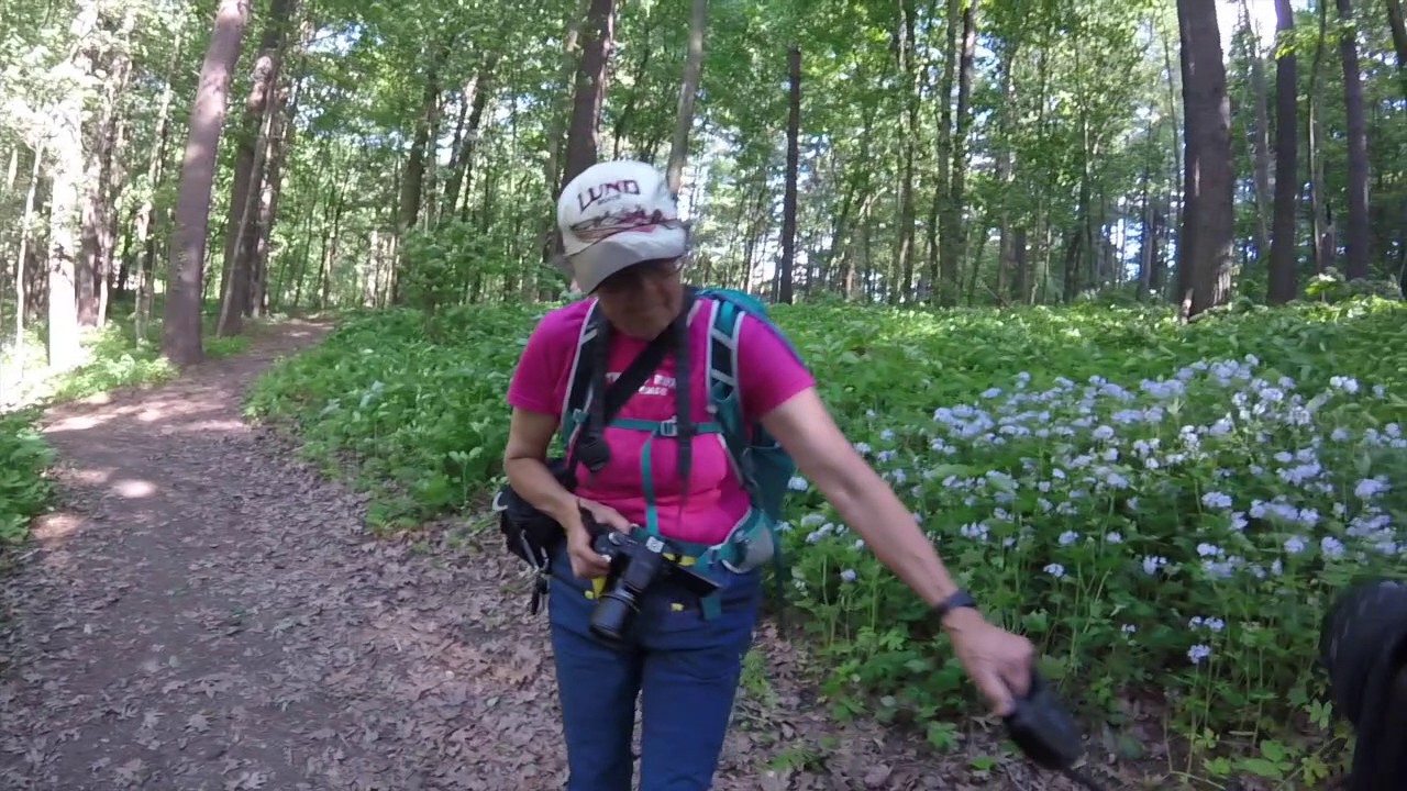 Adventures of Holly - Hiking Wyalusing State Park - YouTube