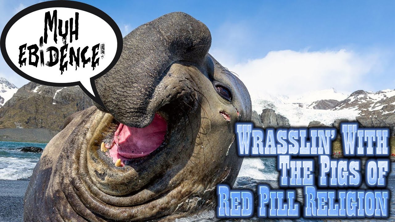 #Atheism - Wrasslin' With the Pigs of 'Red Pill Religion' - YouTube