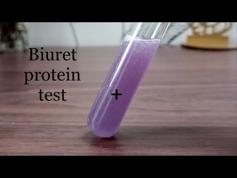How to test presence of protein # Biuret protein test #B.Sc practical ...