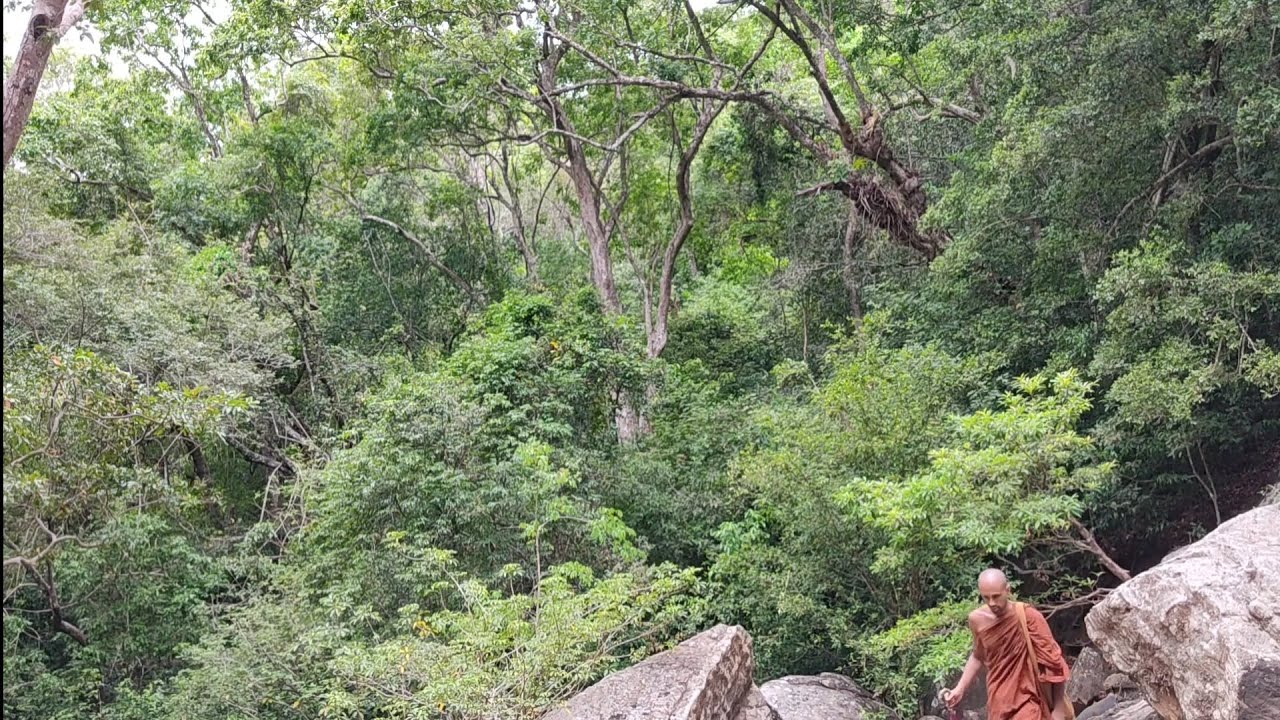 Budugala Forest Carika Path Search | 2022-08-27 | Bhante Joe - YouTube