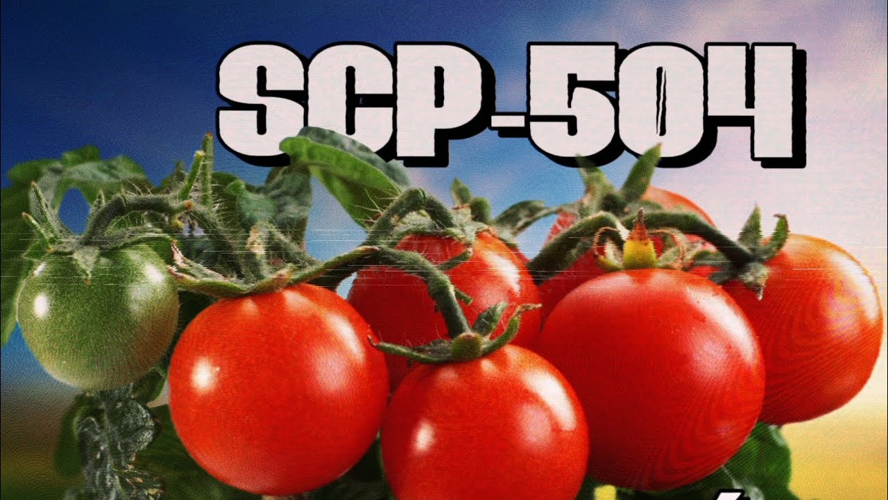 Hồ Sơ SCP | SCP 504 - Cà Chua Gắt | Benjamin - YouTube