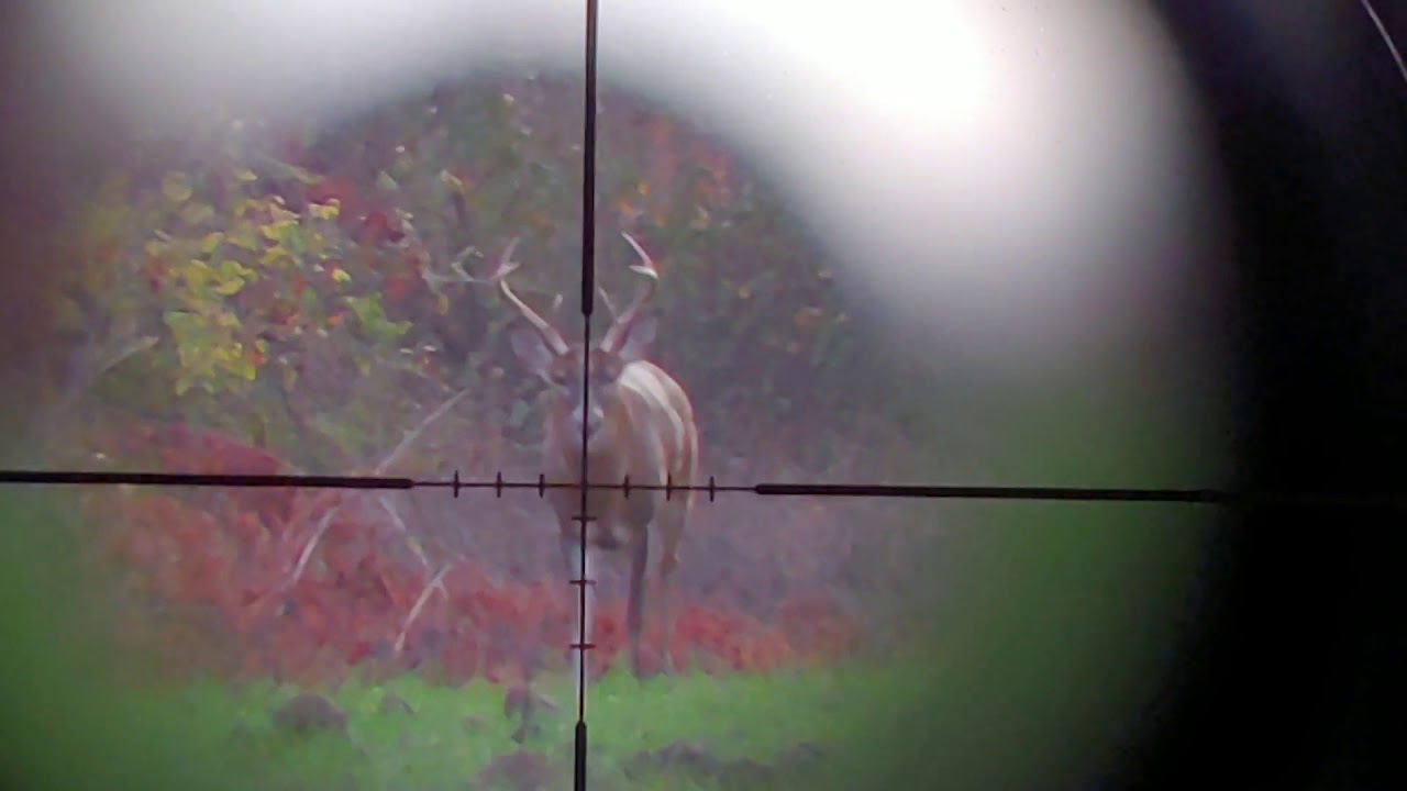 Ava's first deer is a BIG BUCK!!! - YouTube