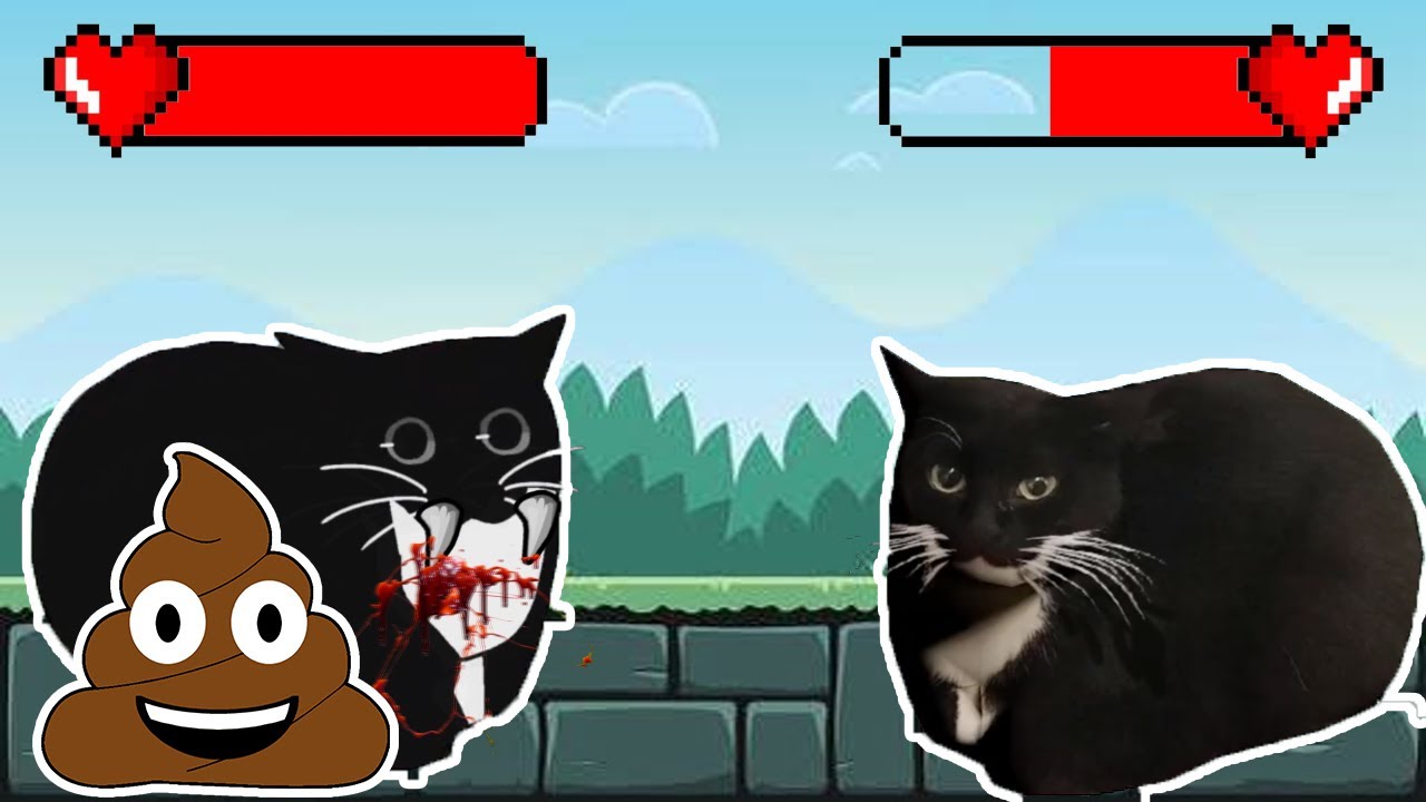 Maxwell cat vs Maxwell cat 2D - YouTube