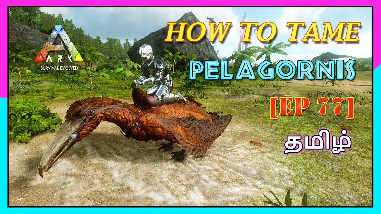HOW TO TAME PELAGORNIS | ARK MOBILE | TAME SERIES EP 77 | MR RAPTOR ...