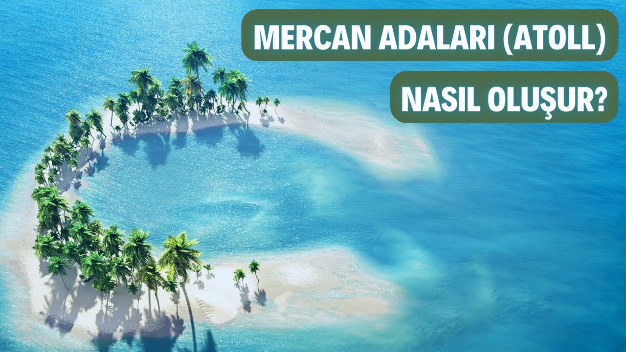 MERCAN ADALARI (ATOLL) NASIL OLUŞUR? - YouTube
