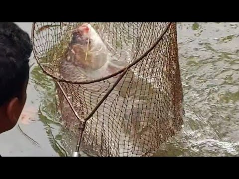 The village hunter was victory with the aces of the best - YouTube