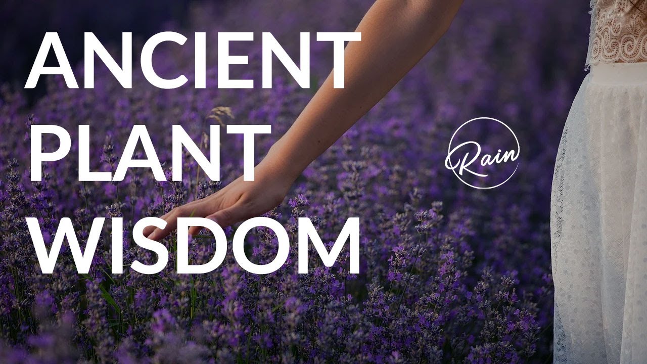 Ancient Plant Wisdom - Learn about Plant Essences and Stem-Cells. - YouTube