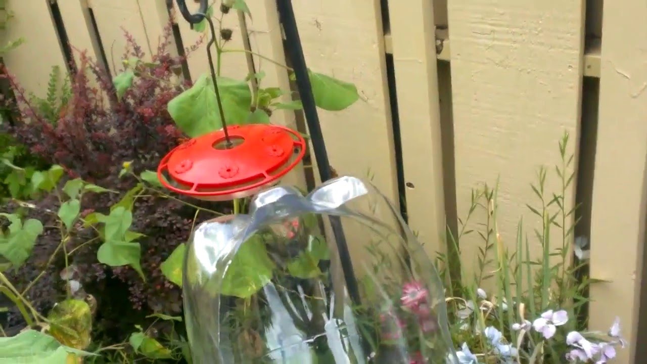 HOW TO MAKE A PROTECTIVE FACE SHIELD FOR $2 - YouTube