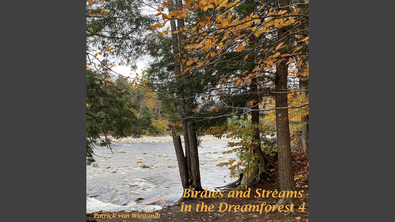 Birdies and Streams in the Dreamforest 4 - YouTube