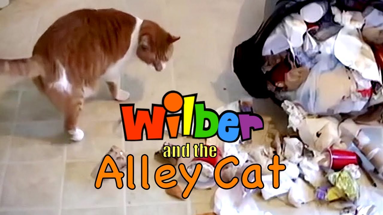 Wilber and the Alley Cat - YouTube