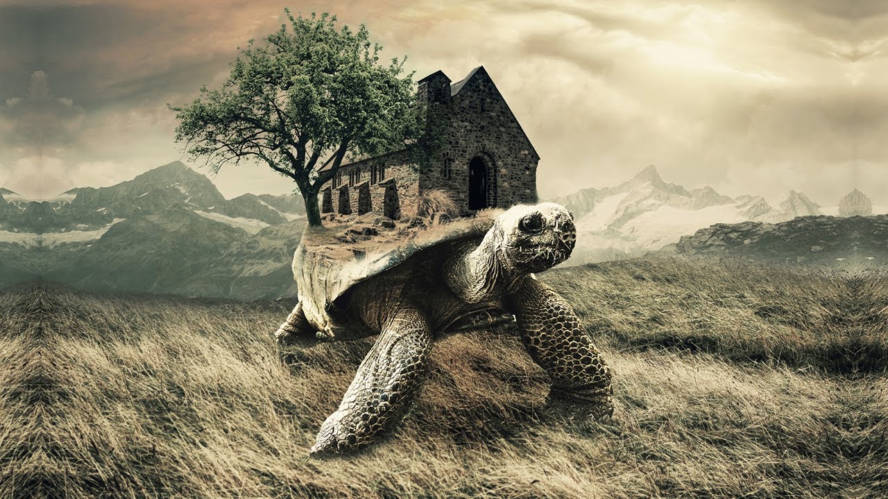 Turtle House ~ Surrealism Photoshop Photo Manipulation - YouTube