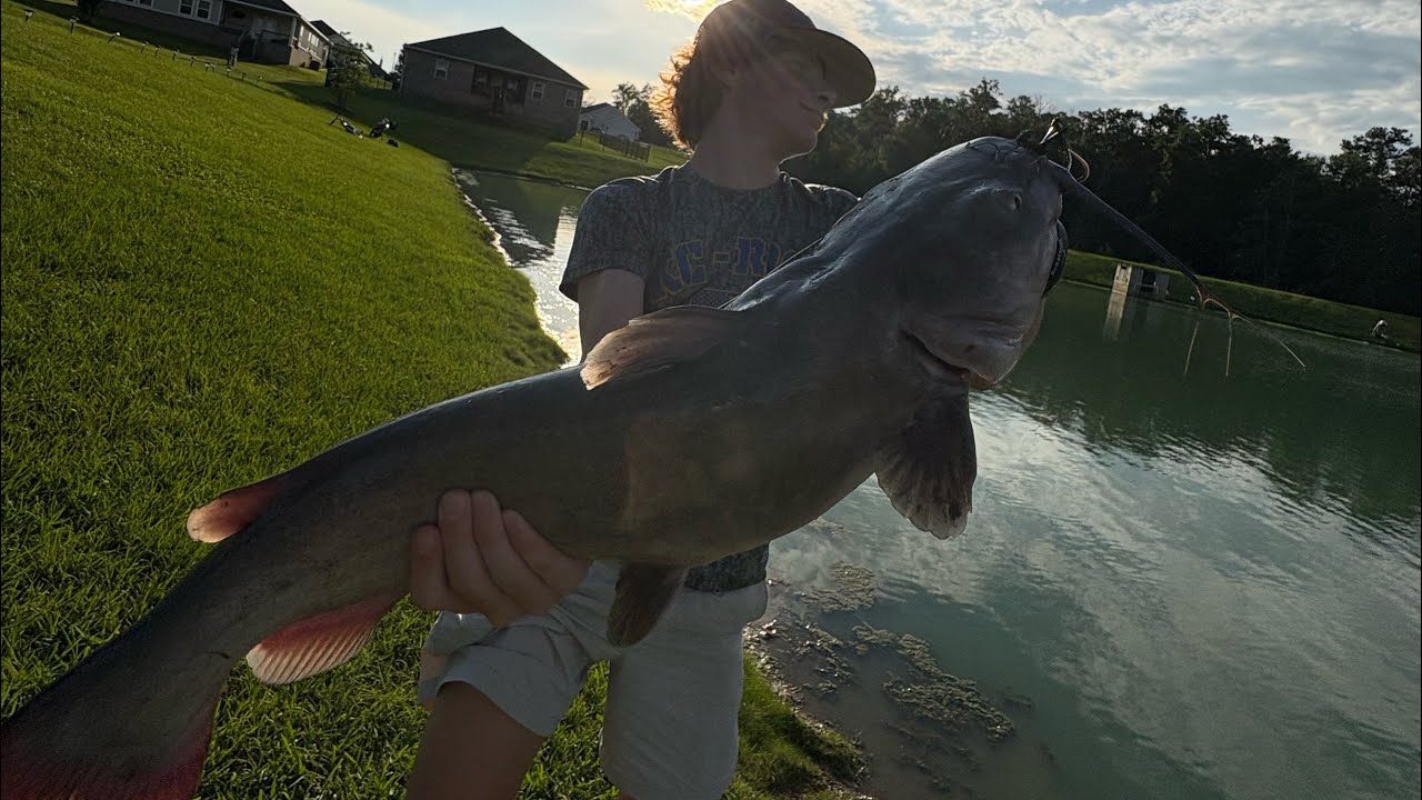 Fishing this neighborhood pond for monster fish (caught a giant zombie ...