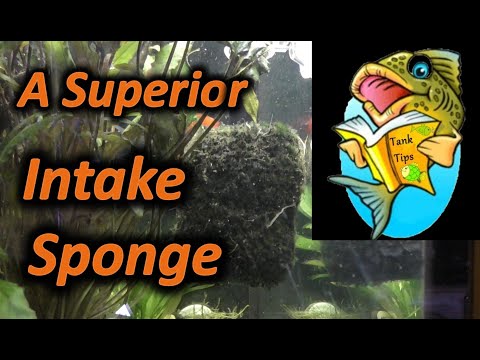 TANK TIPS: A Far Superior HOB and Cannister Intake Sponge