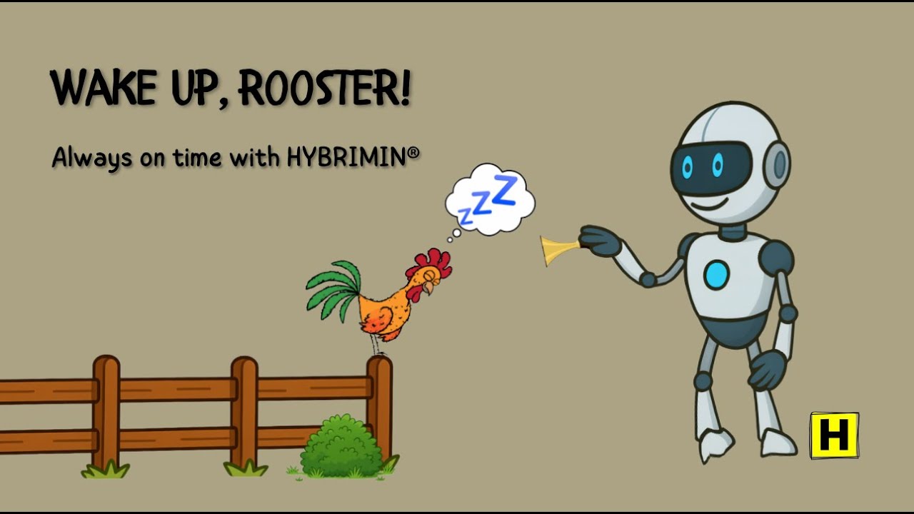 Wake Up, Rooster! | A Morning with HYBRIMIN® - YouTube