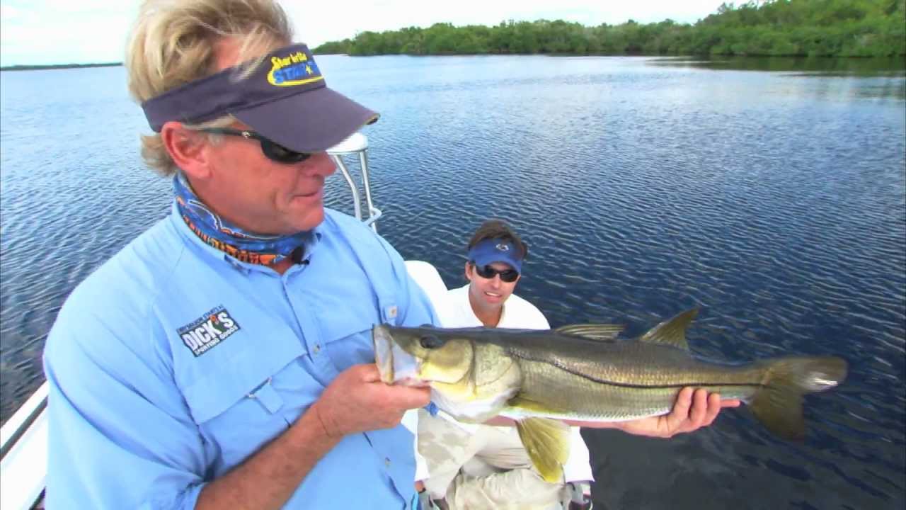Fly Fishing for Snook in Florida Everglades with Kevin Mihailoff - YouTube