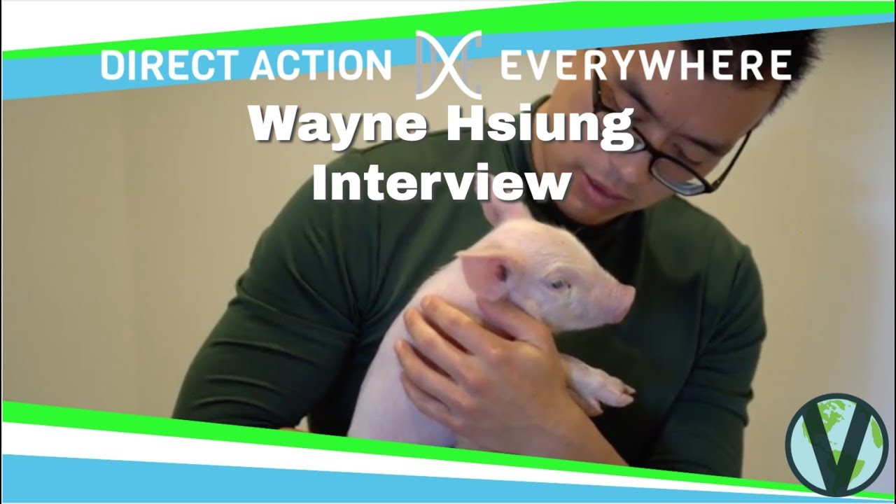 Wayne Hsiung On Going To Prison And Criminal Charges | Interview 2018 ...