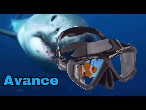 Buscando a Nemo live action/ adelanto - YouTube