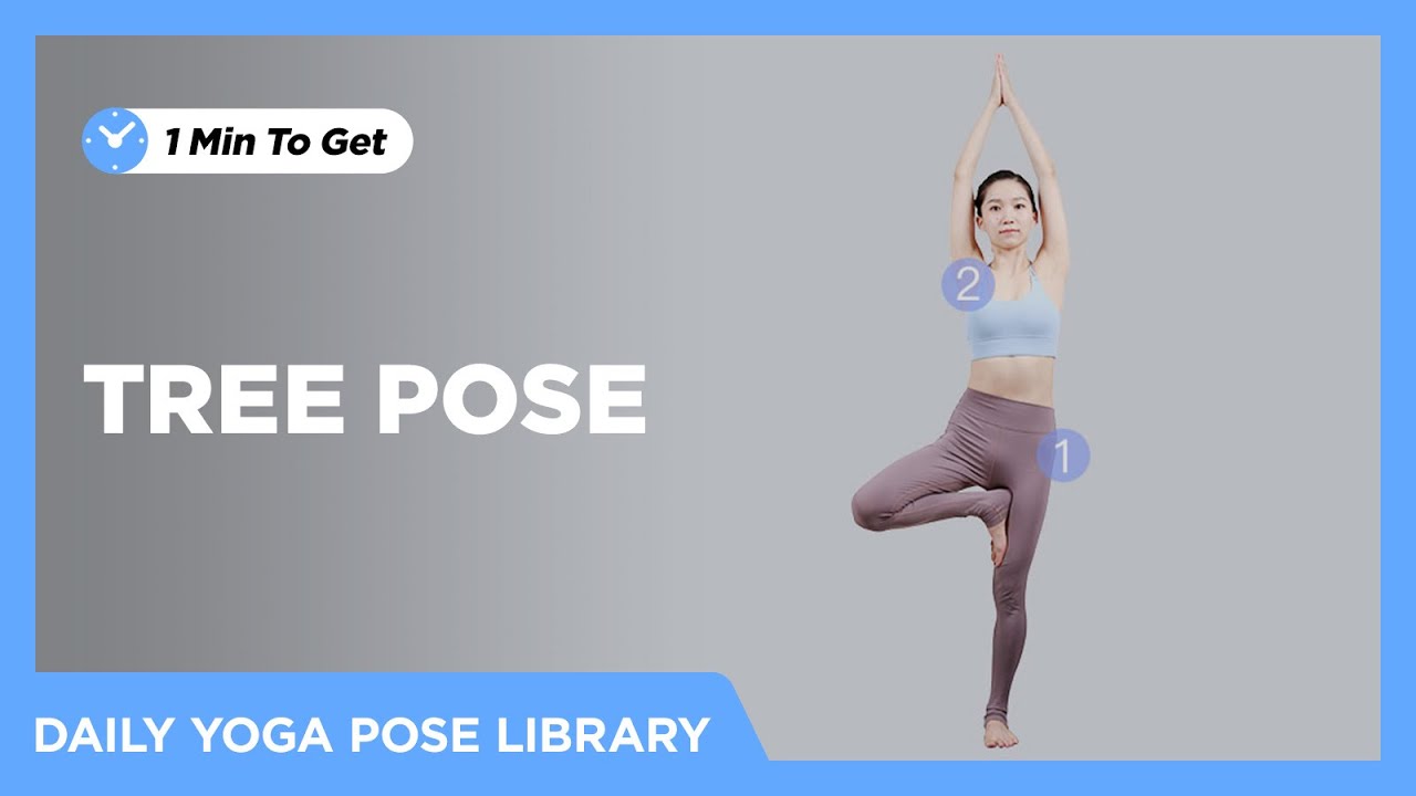 1 Min To Get Tree Pose | Daily Yoga Pose Library - YouTube