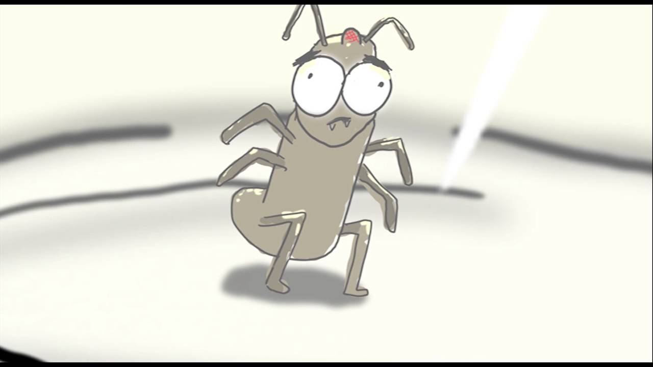 Flea in a Glass Jar Experiment - YouTube